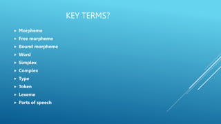 Morphology 101.pptx | Geology | Science
