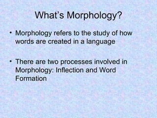 Morphology (2) | PPT