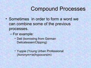 Morphology (2) | PPT | Geology | Science