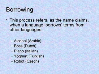 Morphology (2) | PPT | Geology | Science