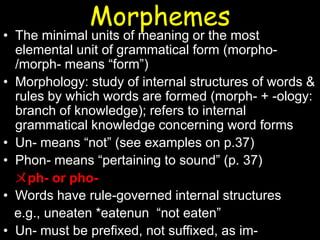 語言學概論Morphology 2 | PDF