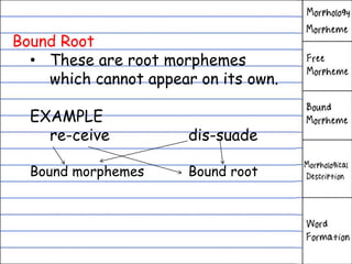 Morphology (Linguistics) | PPTX