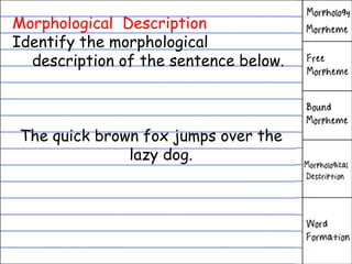 Morphology (Linguistics) | PPTX