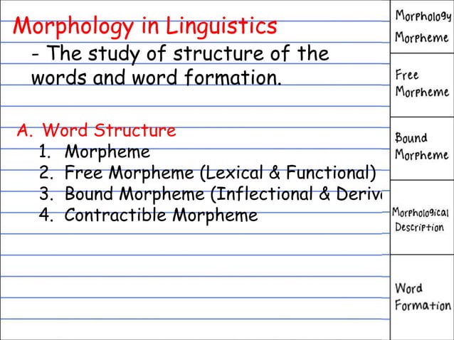 Morphology (Linguistics) | PPTX | Geology | Science