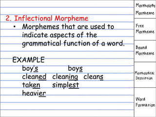 Morphology (Linguistics) | PPTX