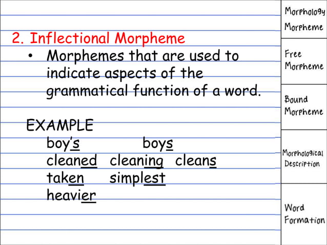 Morphology (Linguistics) | PPTX | Geology | Science