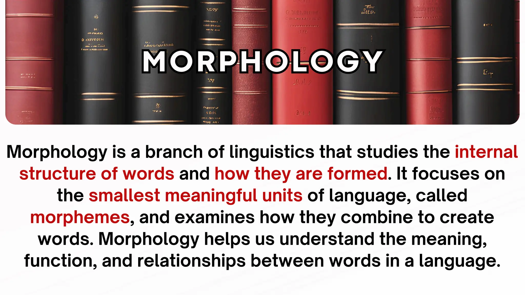 linguistic/ Morphology/ English/ ....pdf