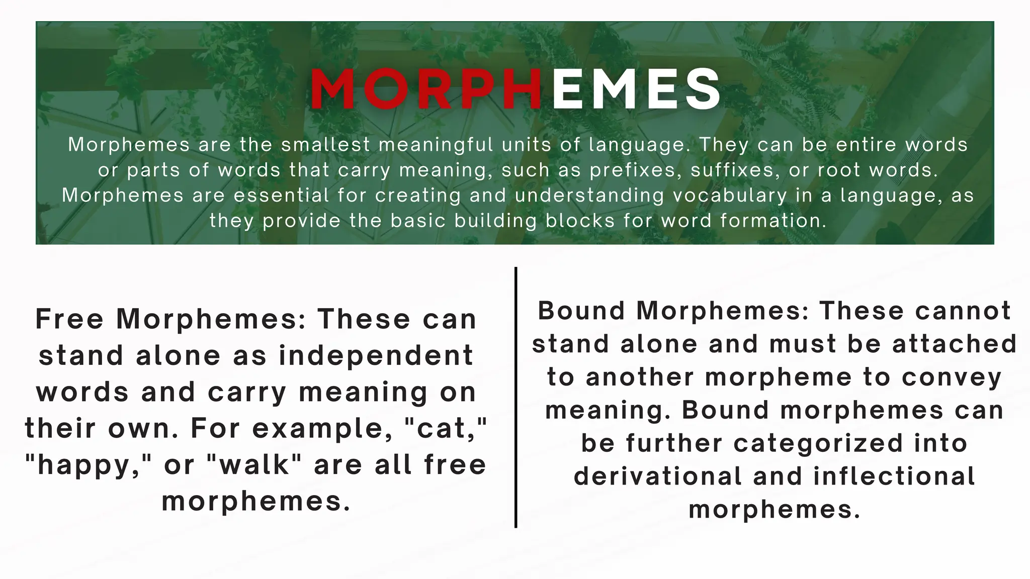 linguistic/ Morphology/ English/ ....pdf