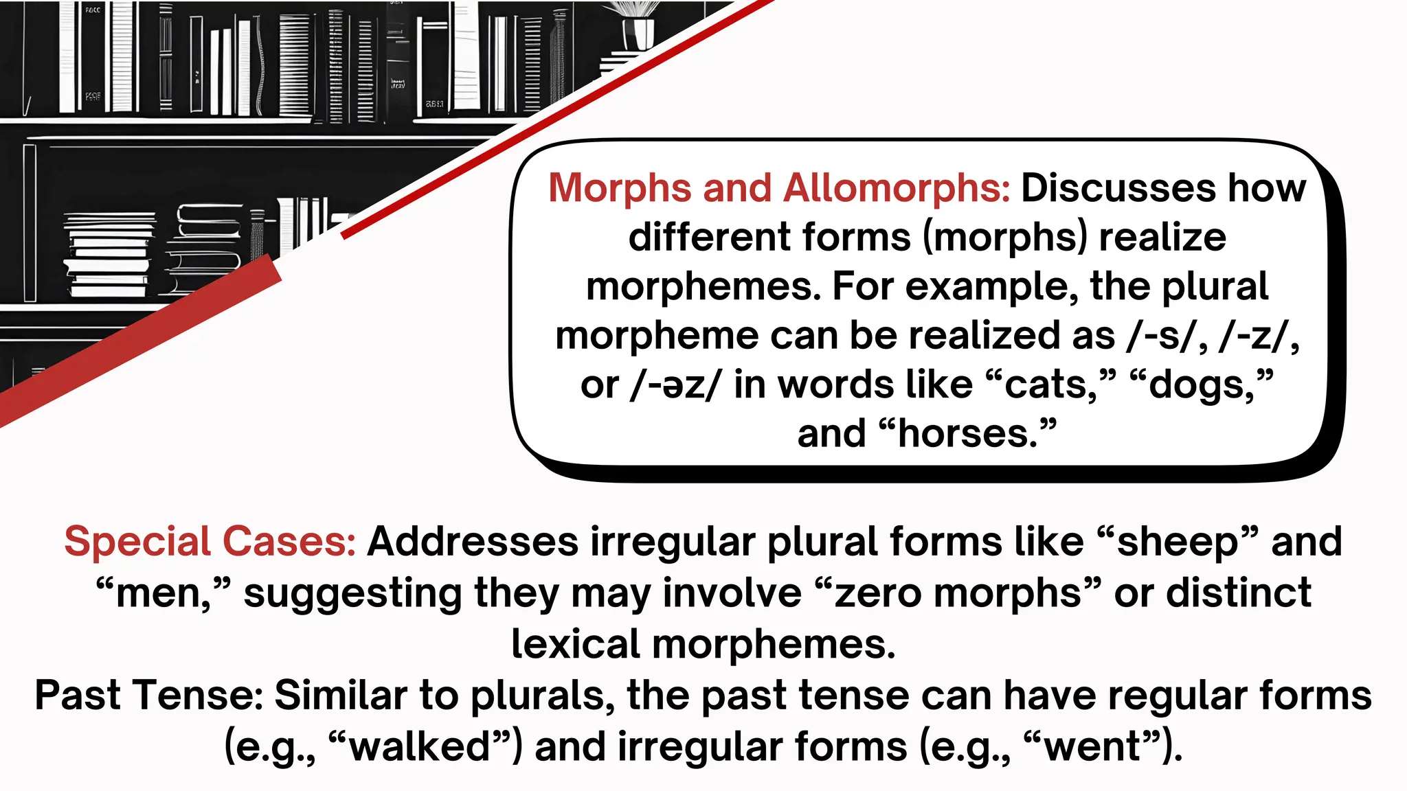 linguistic/ Morphology/ English/ ....pdf