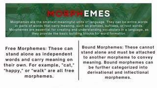 linguistic/ Morphology/ English/ ....pdf