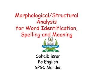 Morphology | PDF