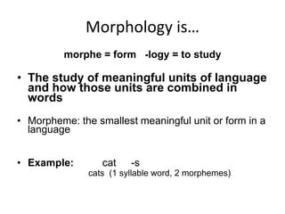 Morphology | PPT