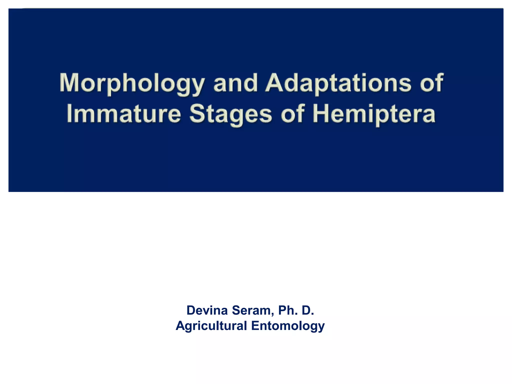 Morphology and adaptations of immature stages of hemiptera | PPT