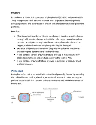 Morphology and fine Structure of Bacteria (shape, size, arrangement ...