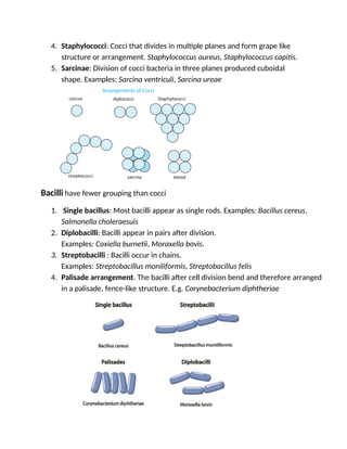 Morphology and fine Structure of Bacteria (shape, size, arrangement ...