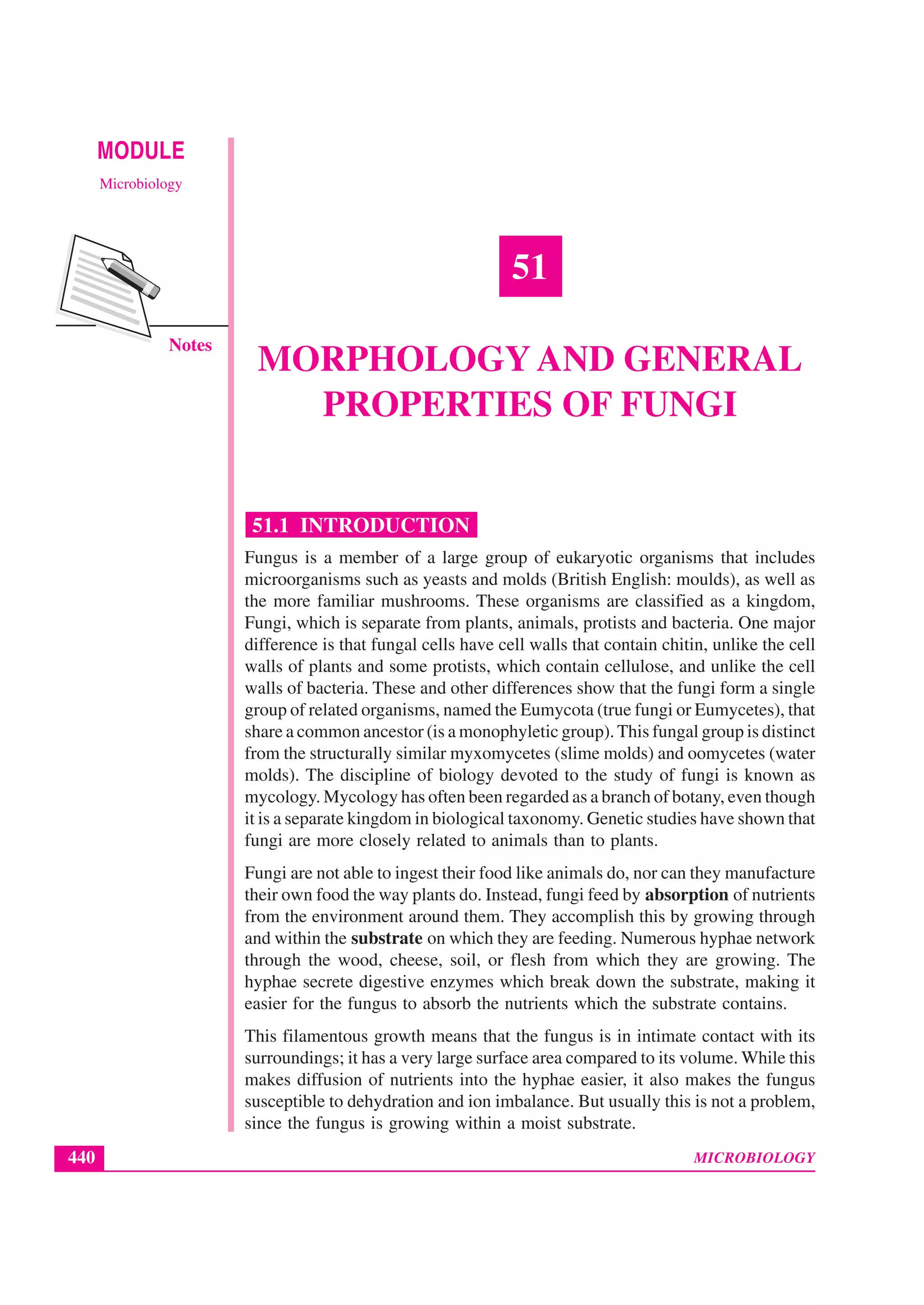 Morphology and general and general properties of fungi | PDF