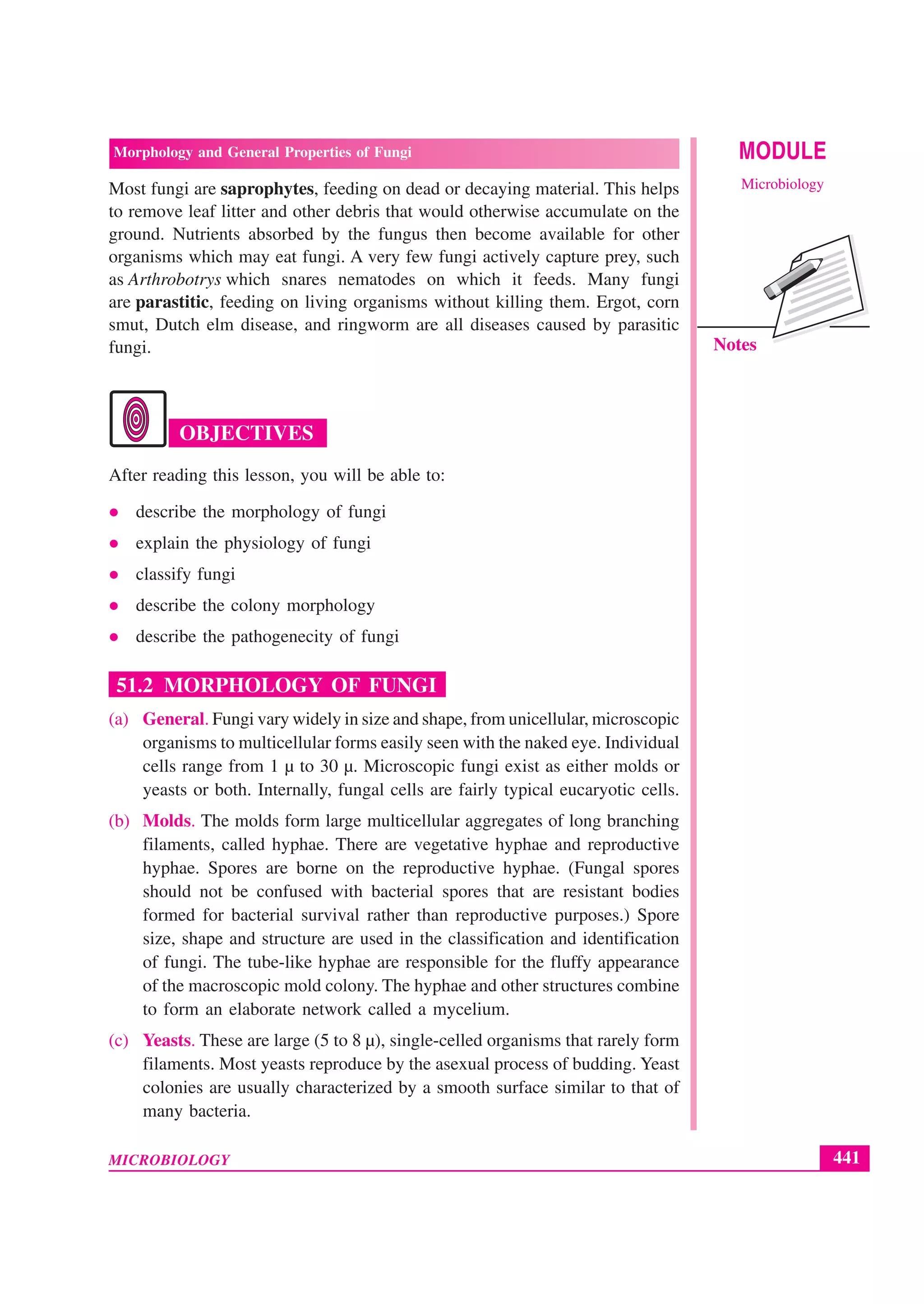 Morphology and general and general properties of fungi | PDF