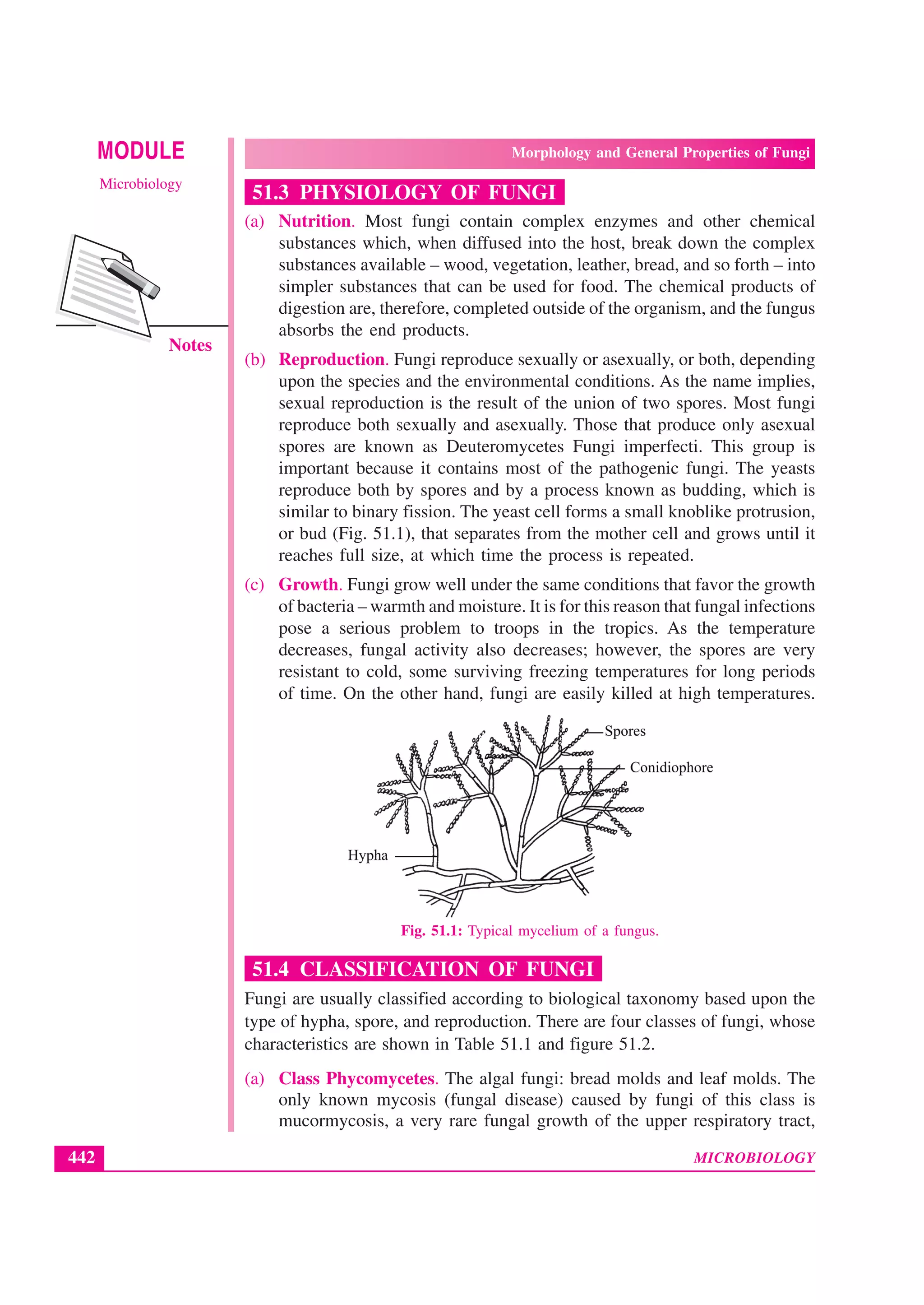 Morphology and general and general properties of fungi | PDF