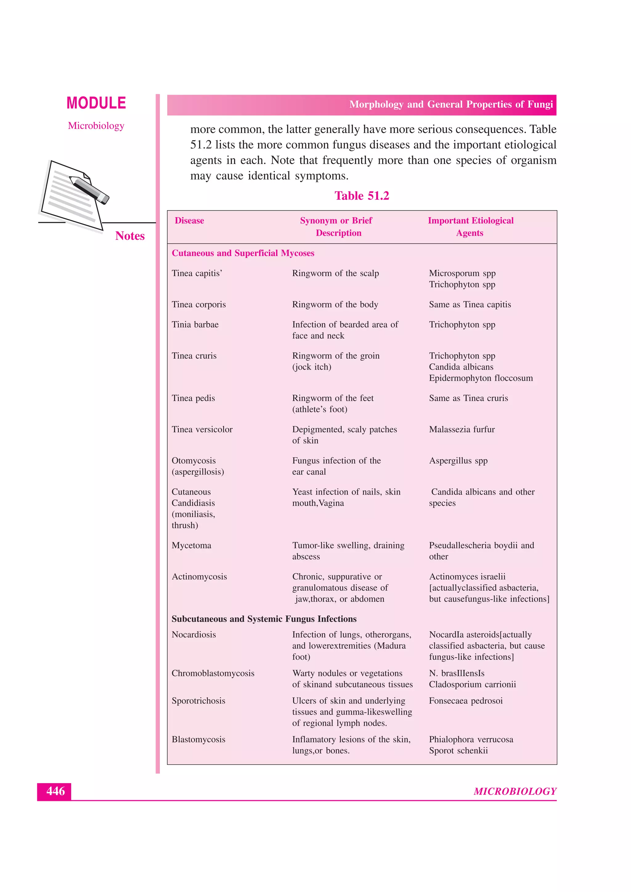 Morphology and general and general properties of fungi | PDF