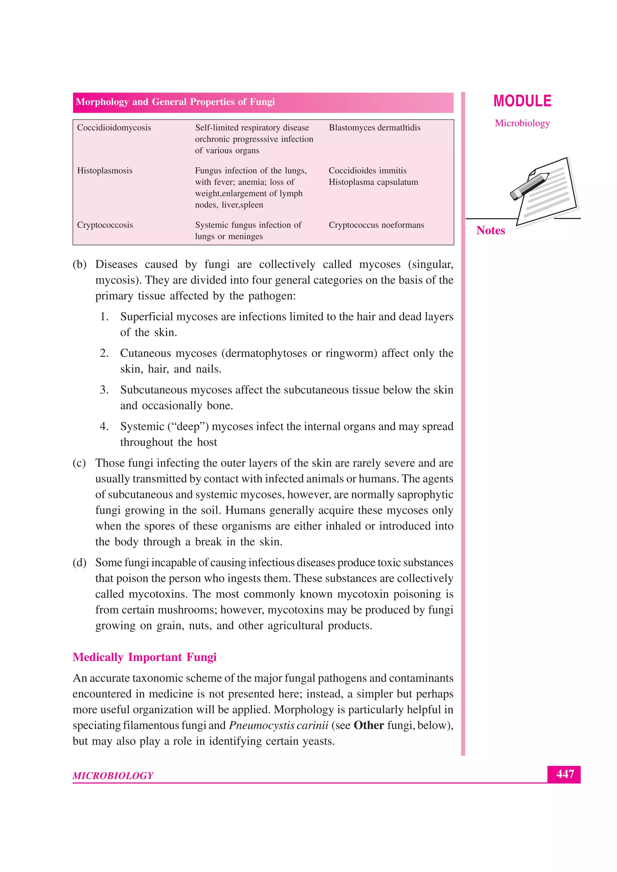 Morphology and general and general properties of fungi | PDF