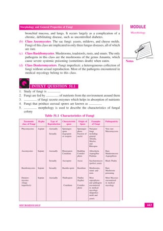 Morphology and general and general properties of fungi | PDF
