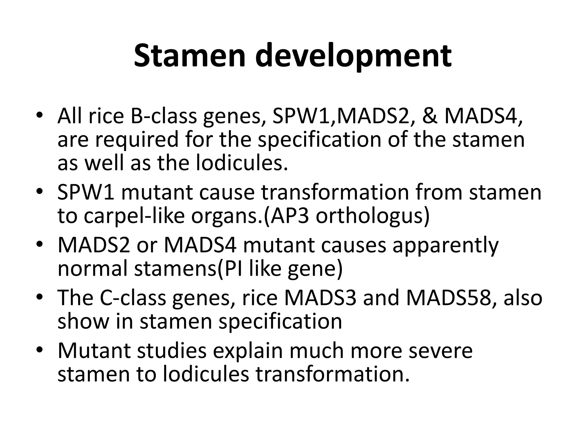Morphology and genetic development of flower in rice | PPTX