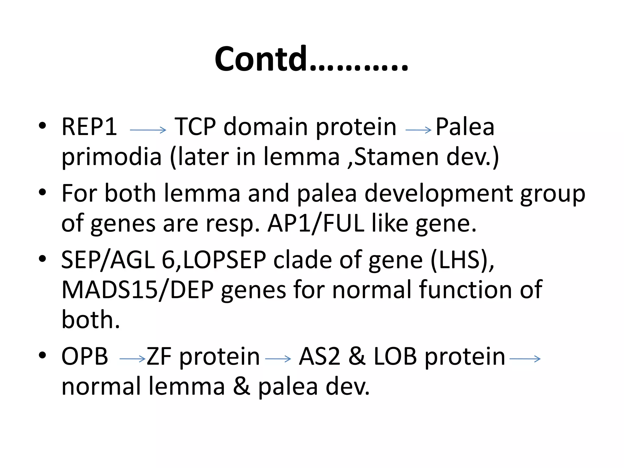 Morphology and genetic development of flower in rice | PPTX