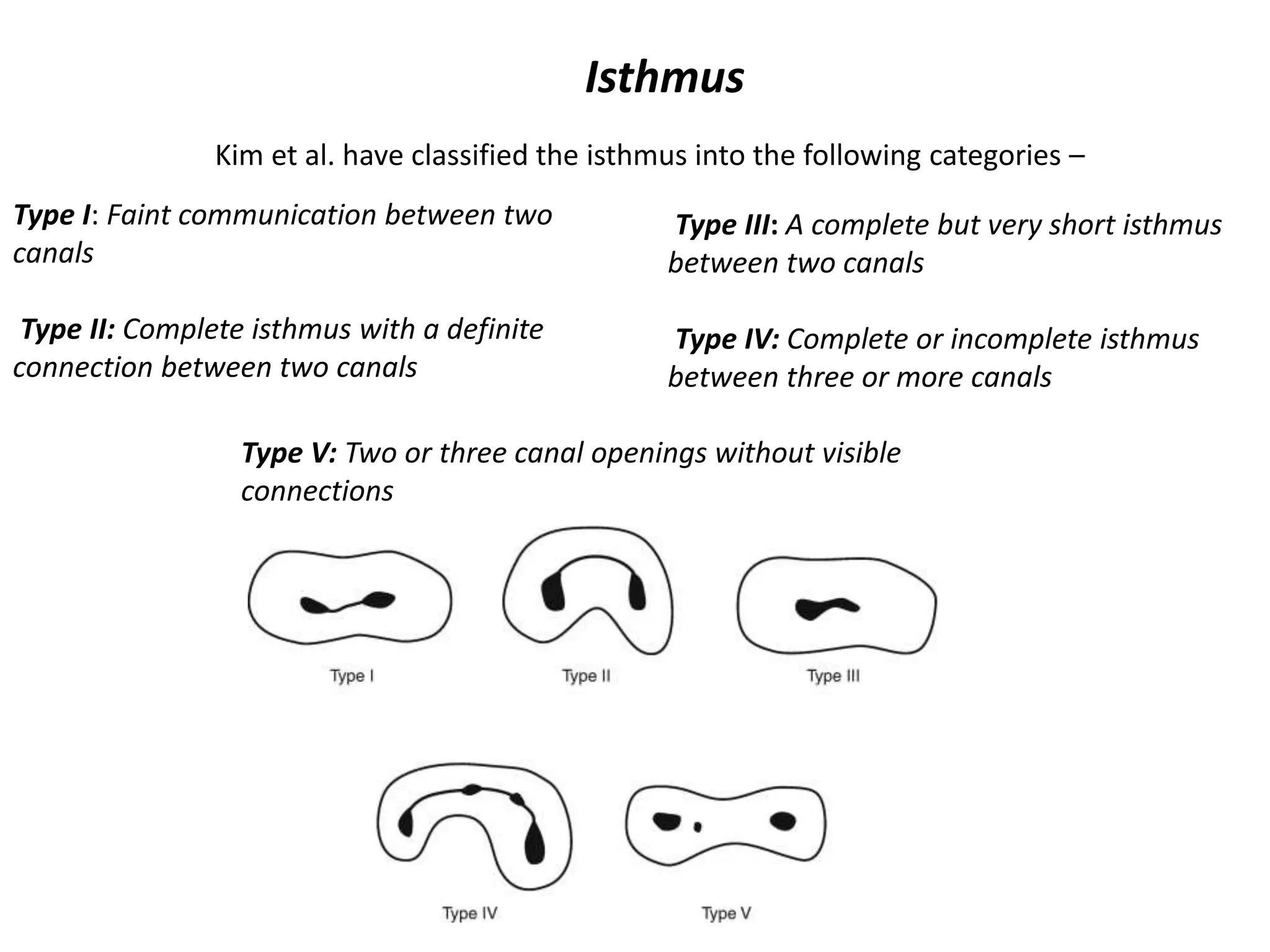 Morphology And Internal Anatomy Of Root Canal System Ppt