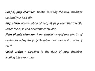 Morphology and internal anatomy of root canal system | PPTX
