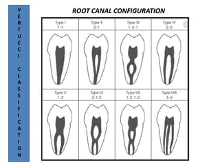 Morphology and internal anatomy of root canal system | PPTX