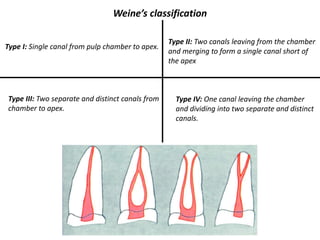 Morphology and internal anatomy of root canal system | PPTX