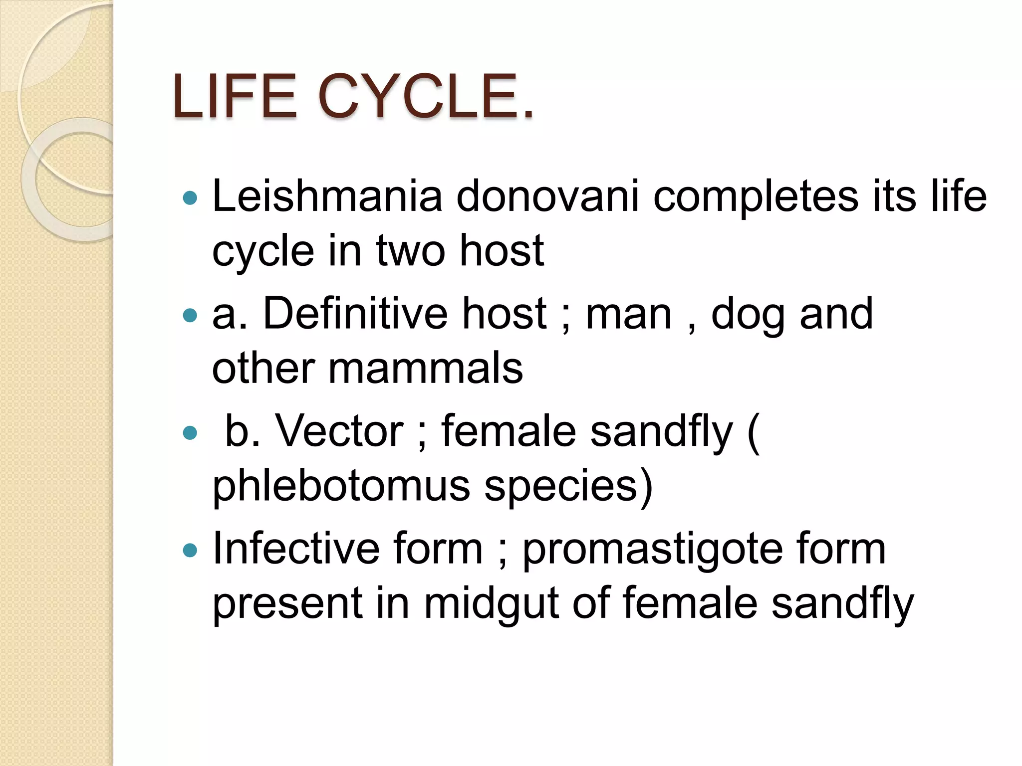 Morphology and life cycle of leishmania donovani | PPTX