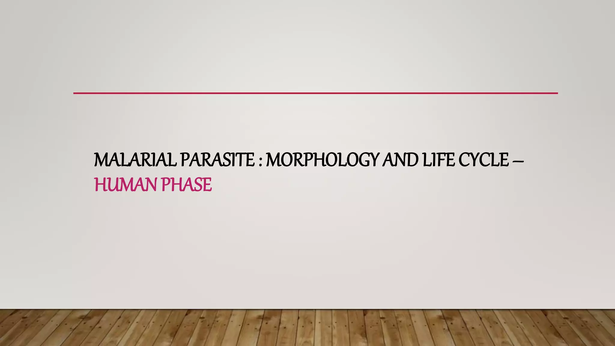 Morphology and life cycle of malarial parasite -human phase | PPT