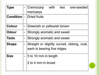 Morphology and microscopy of volatile oil drugs.Dr.U.Srinivasa ...
