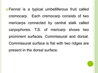 Morphology and microscopy of volatile oil drugs.Dr.U.Srinivasa ...