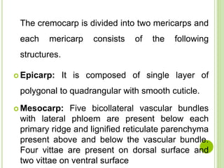 Morphology and microscopy of volatile oil drugs.Dr.U.Srinivasa ...