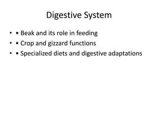 Morphology_and_Physiology_of_Bird. s.pptx