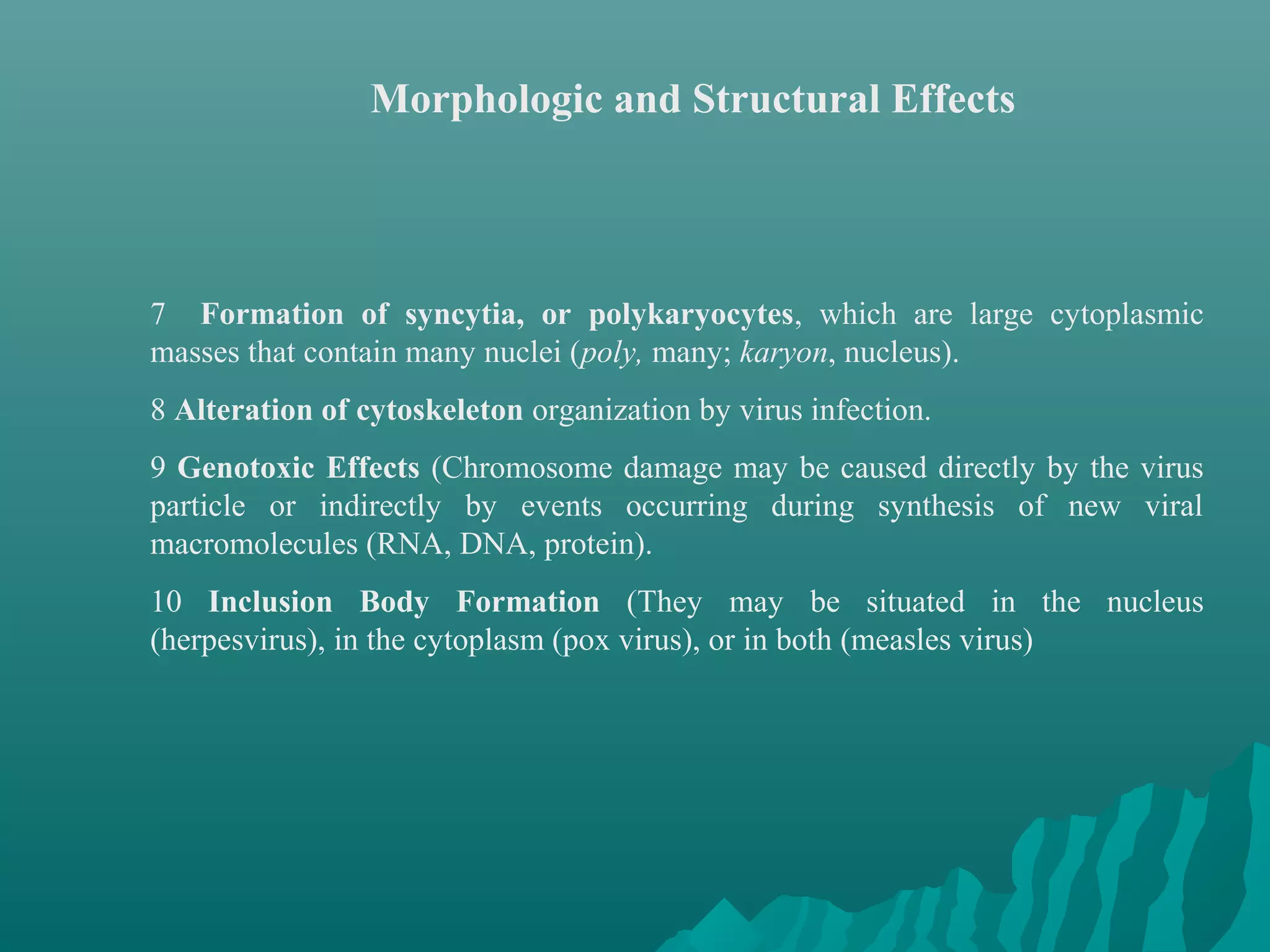 Morphology and physiology of viruses | PPT
