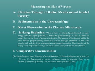 Morphology and physiology of viruses | PPT