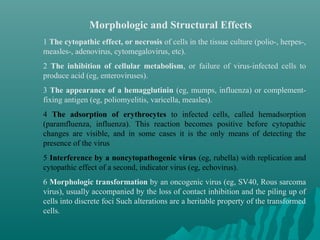 Morphology and physiology of viruses | PPT
