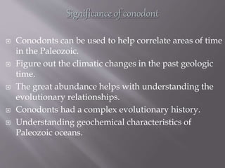 MORPHOLOGY AND SIGNIFICANCE OF CONODONT (group-D).pptx