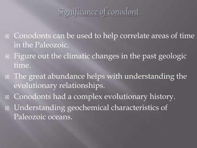 MORPHOLOGY AND SIGNIFICANCE OF CONODONT (group-D).pptx