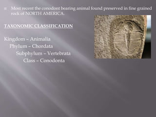 MORPHOLOGY AND SIGNIFICANCE OF CONODONT (group-D).pptx