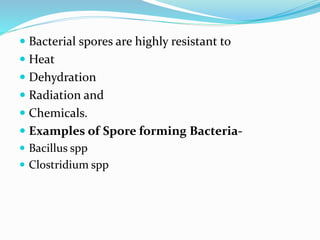 Morphology and str.of bacteria | PPT