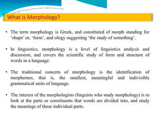 Morphology and word formation processes | PPTX