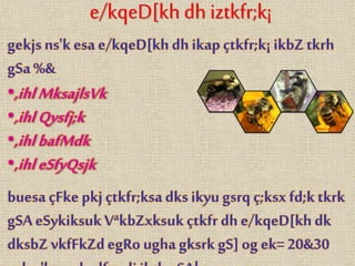 Morphology and work division in honeybee colony | PPTX