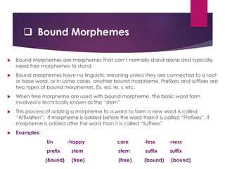 Morphology background and history | PDF