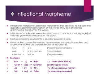 Morphology background and history | PDF