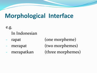 Basic Morphology | PPTX
