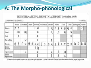 Basic Morphology | PPTX